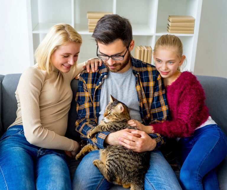 Choisir son premier chat - Dr Milou