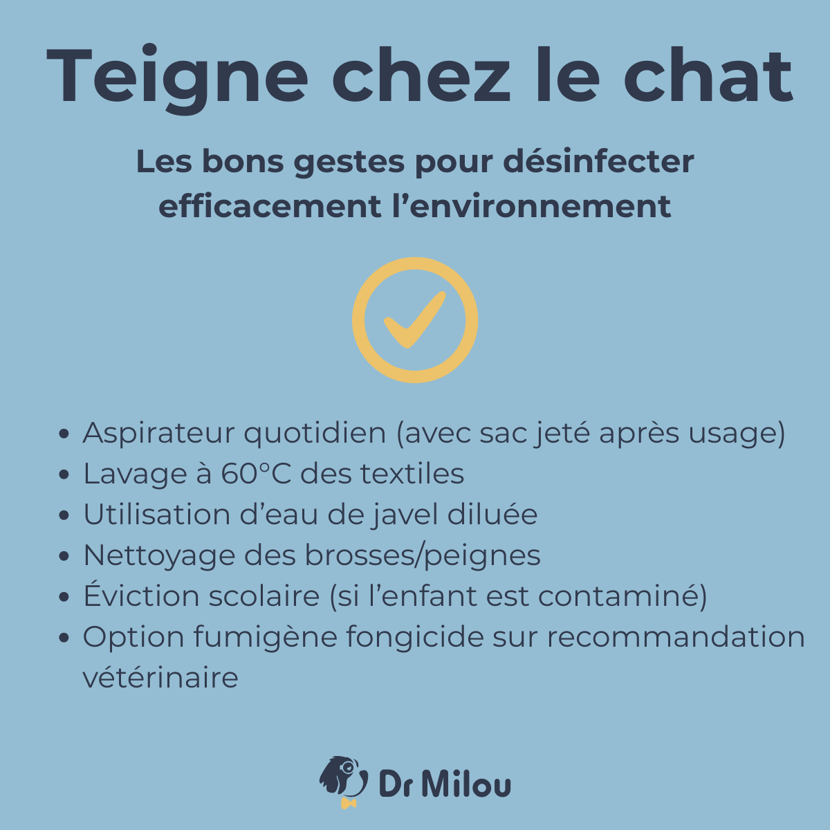 Teigne chez le chat : causes, symptômes, traitements - Dr Milou