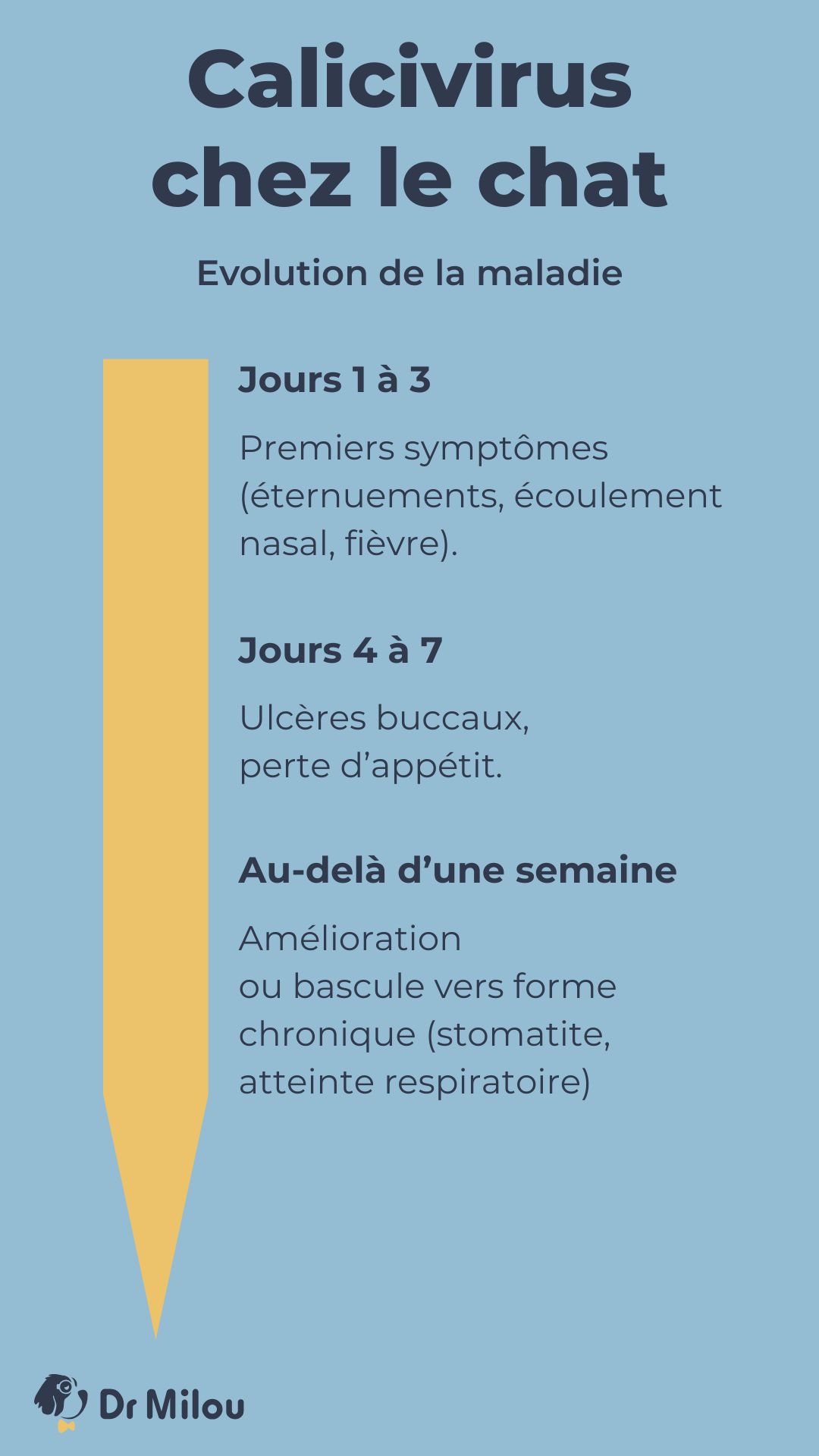 Calicivirus chez le chat : symptômes et traitements - Dr Milou