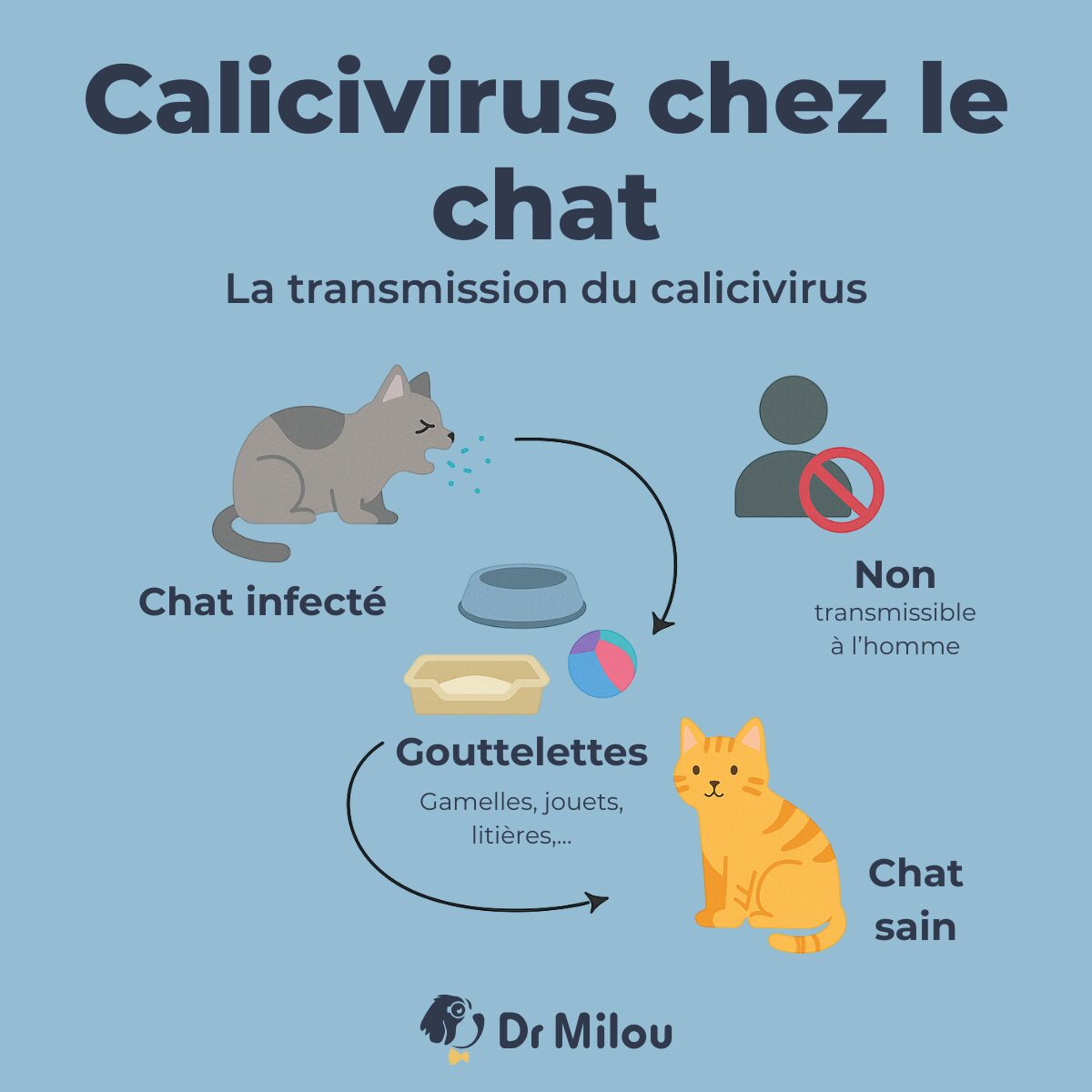 Calicivirus chez le chat : symptômes et traitements - Dr Milou