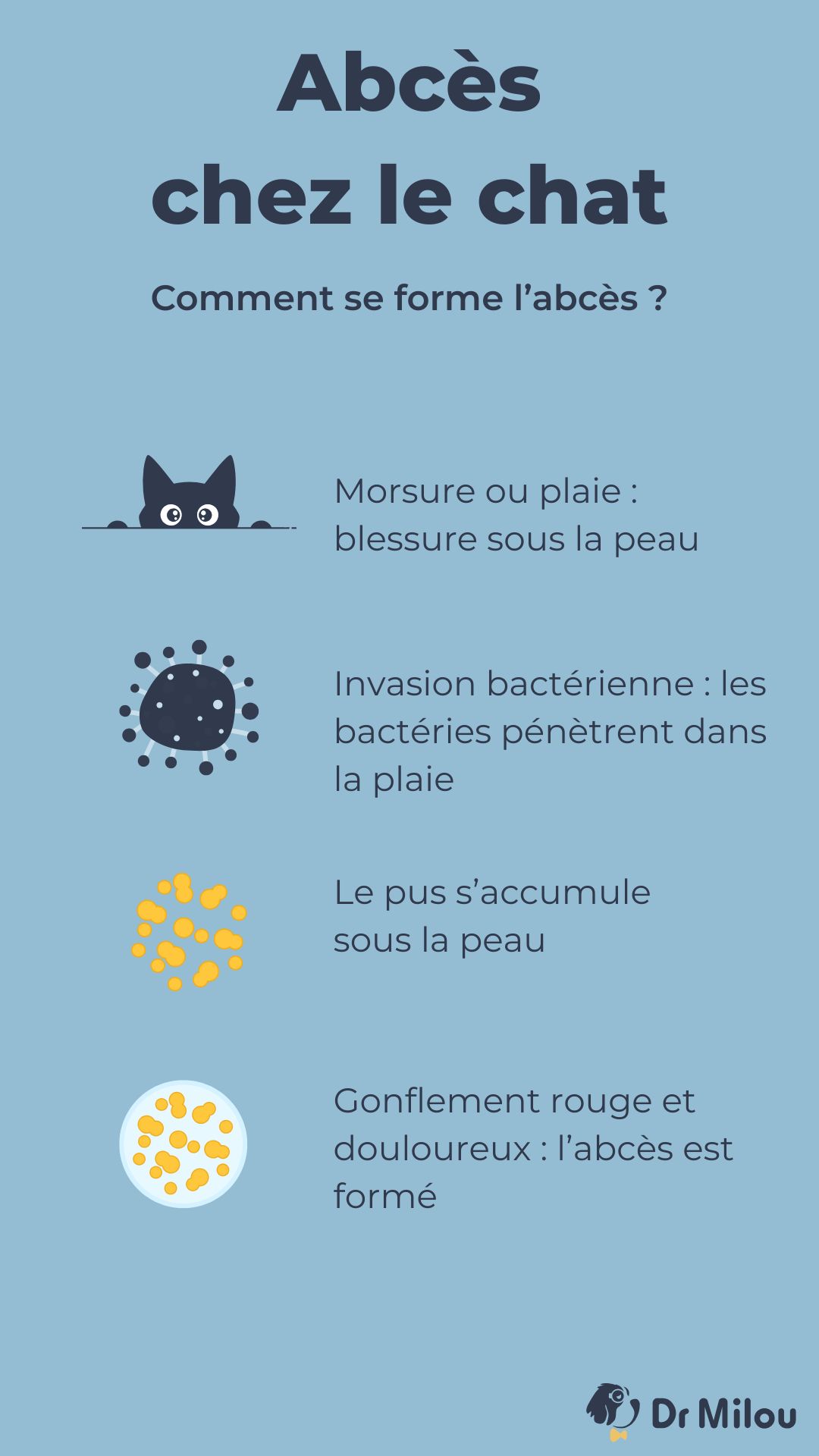 Abcès chez le chat : symptômes et traitements - Dr Milou